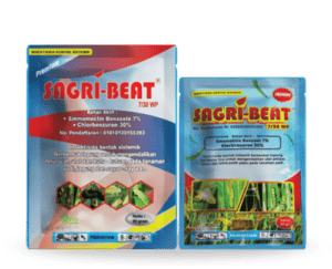 Sagri Beat 7/30 WP – SAI