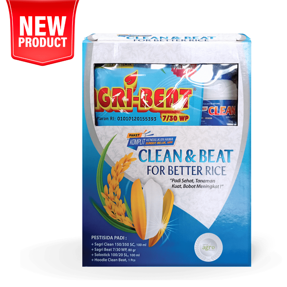 Sagri Clean Beat – SAI
